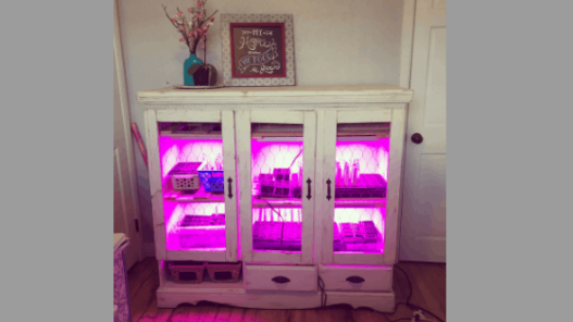 How to Make a DIY Grow Light System for Seed Starting 2024 - Rooted Revival