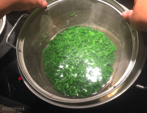 Freezing Garlic Scapes: Everything You Need to Know! 2025 - Rooted Revival