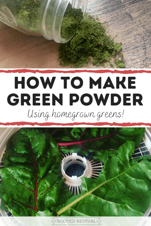 How to Make Green Powder from Homegrown Greens! 2025 - Rooted Revival