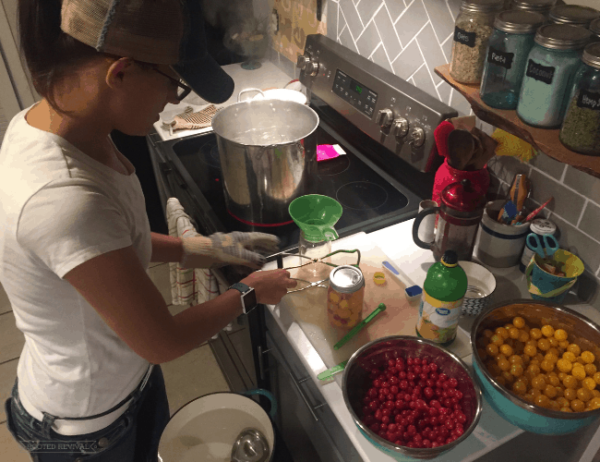 Home Canning 101: How to get started right! 2025 - Rooted Revival