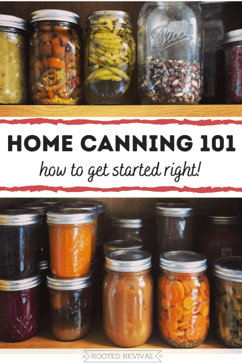 Home Canning 101: How to get started right! 2025 - Rooted Revival