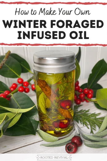 Winter Foraging Tips + DIY Infused Oil 2025 - Rooted Revival