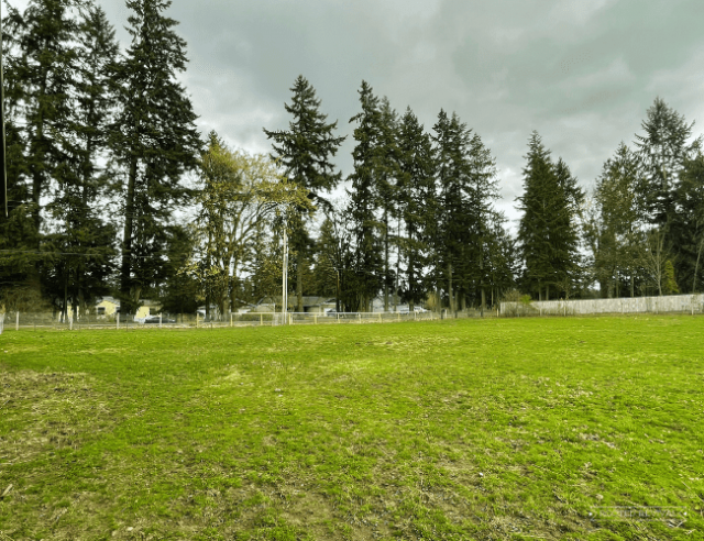 Hedgerows: How to Design & Plant a Hedgerow 2025 - Rooted Revival