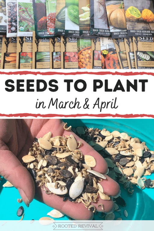 March & April Garden Planting Guide 2025 - Rooted Revival