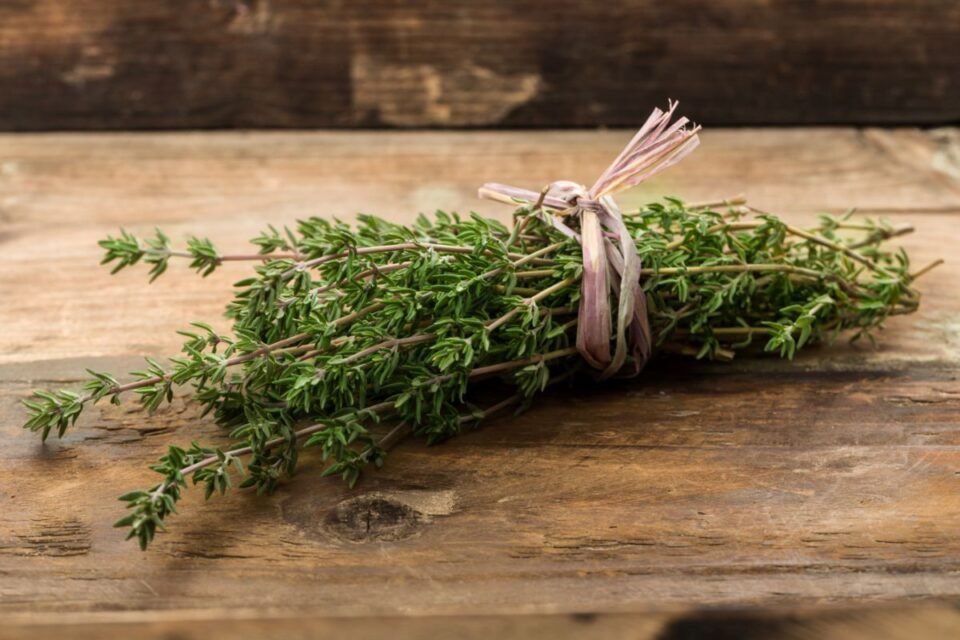 7 Terrific Thyme Smudge Stick Benefits 2025 - Rooted Revival